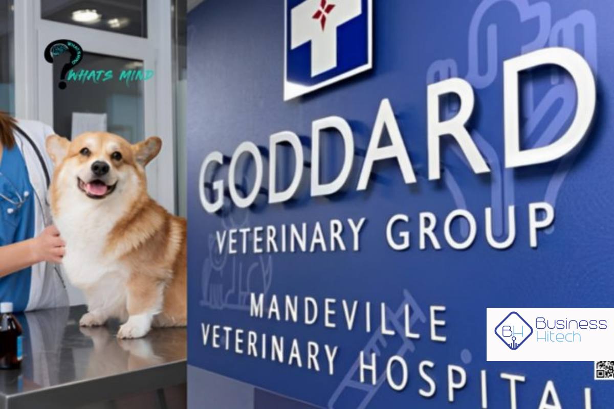 Goddard Veterinary Group Chalfont St Peter Lower Road Chalfont Saint ...