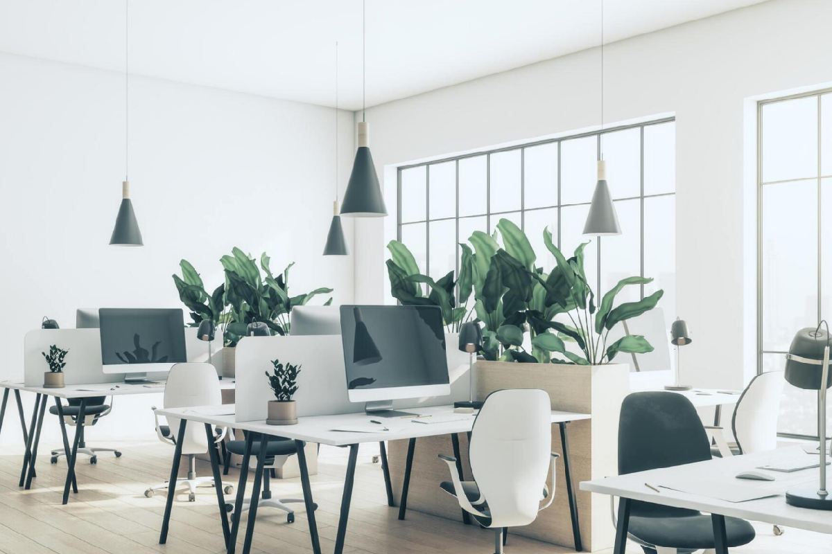 Boosting Productivity: Top Office Essentials Every Employee Needs For A ...